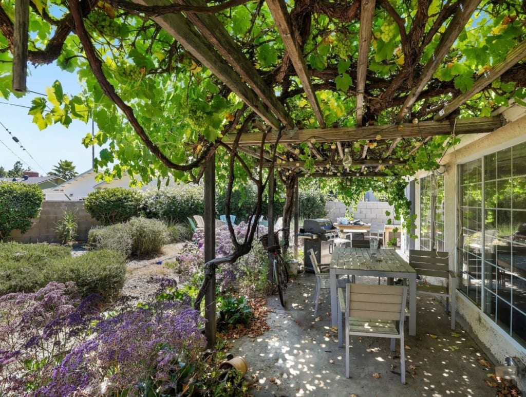 Use these 8 Backyard Privacy Ideas to Create the Perfect Outdoor Escape
