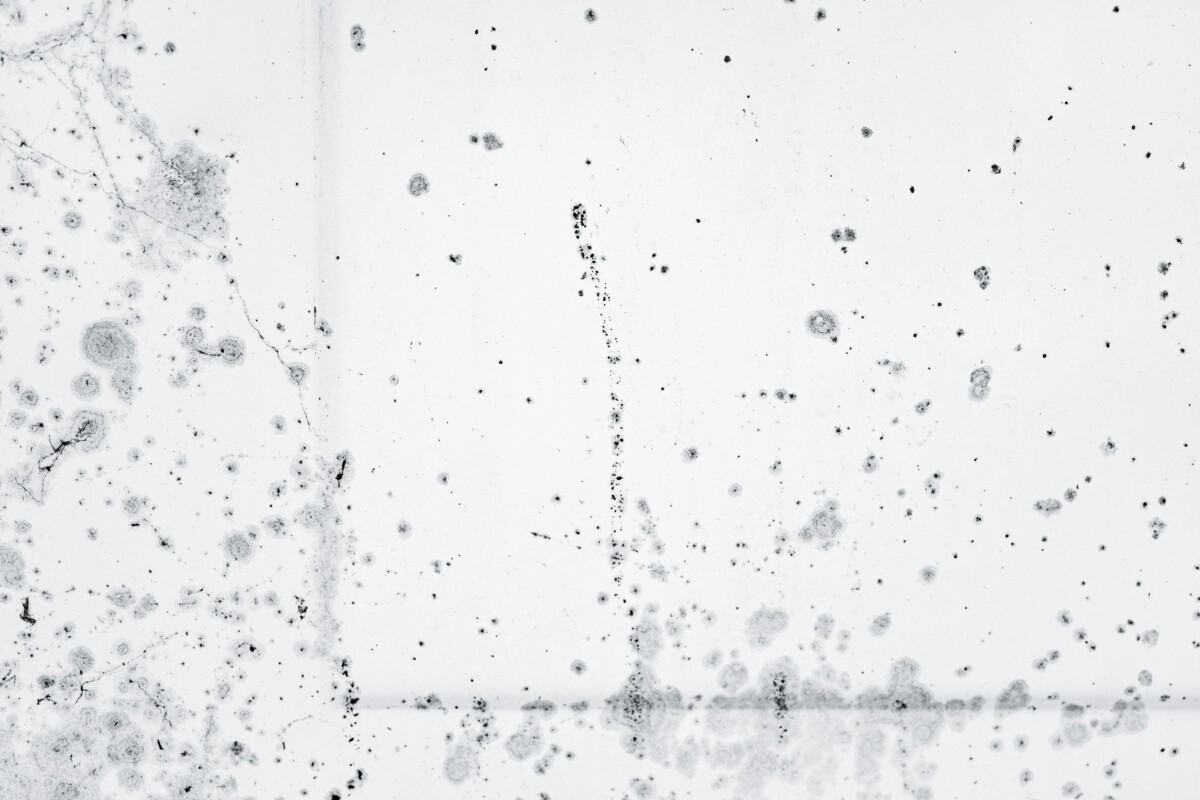 What to Do About Ghosting on Walls and Ceilings - Redfin