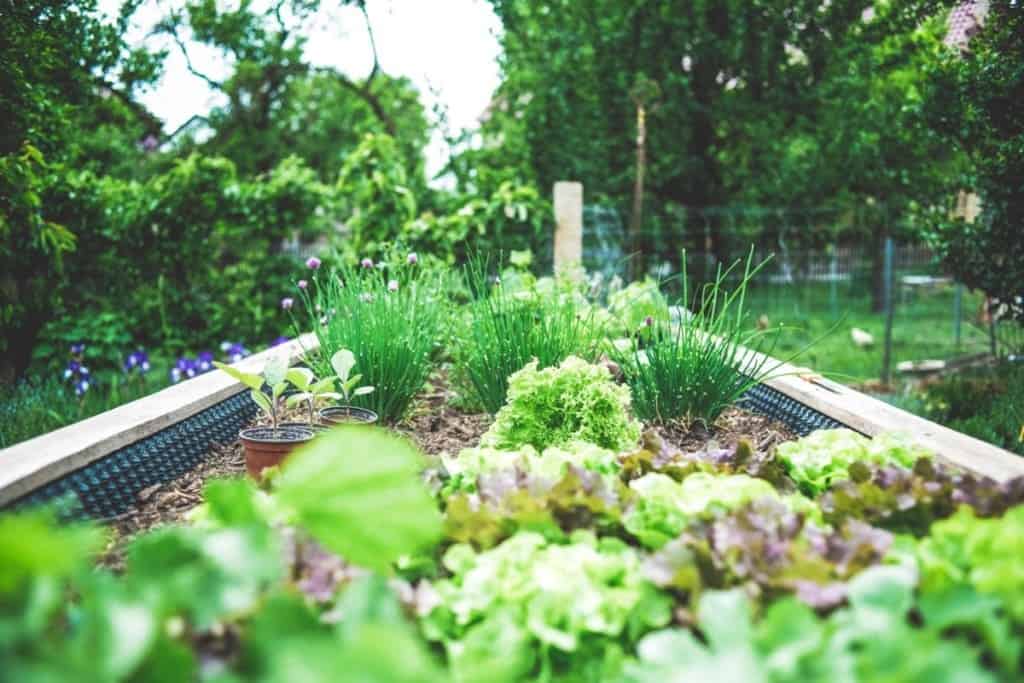 16 Earth Day Tips for a Greener Home | Redfin