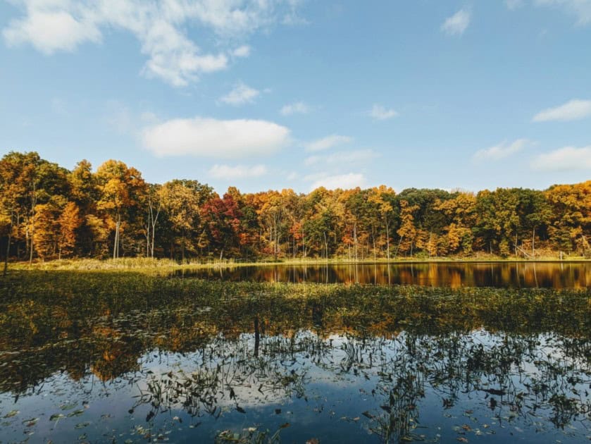 7 Reasons to Move to Indiana and Why You'll Love It | Redfin