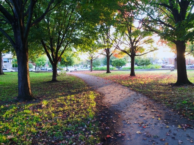 The 10 Most Walkable Cities in Pennsylvania | Redfin