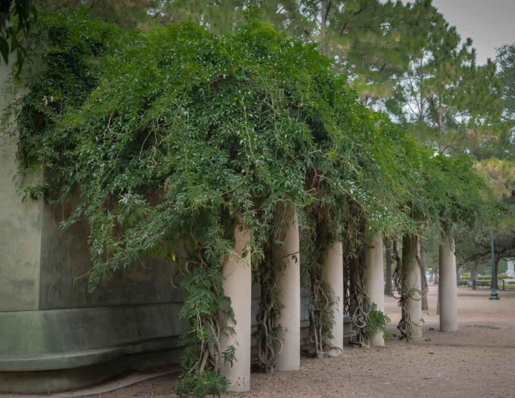 A Local’s Guide to 15 Beautiful Places in Houston - Redfin