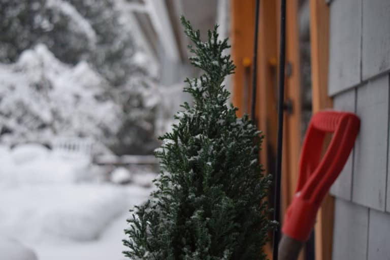 Top Tips for How to Shovel Snow Like a Pro - Redfin