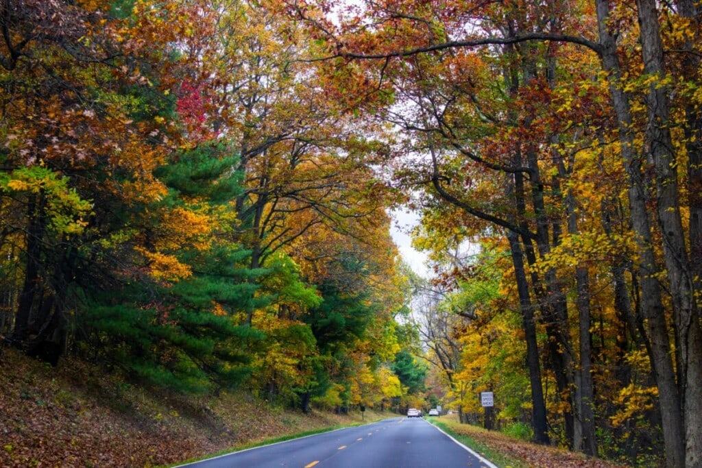 10 Best Affordable Arlington, Virginia Suburbs for 2023 | Redfin
