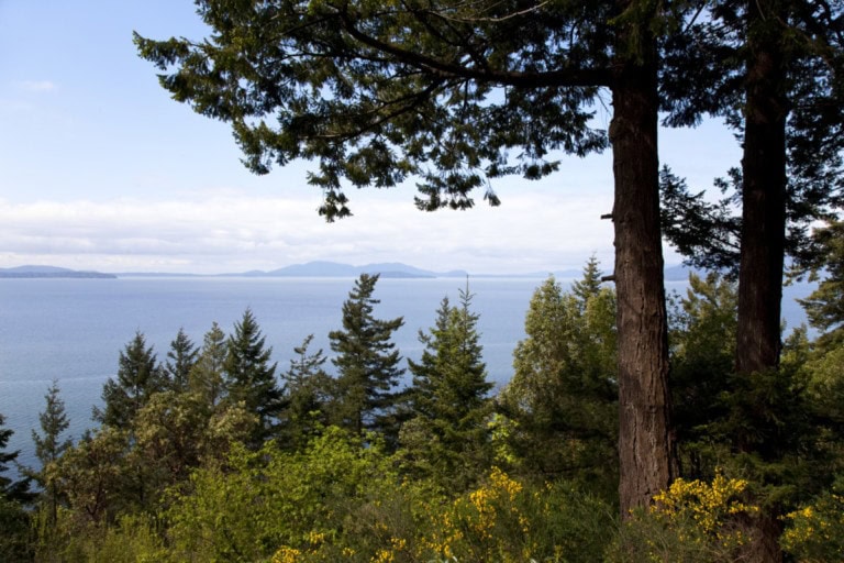 15 Must-Try Restaurants in Bellingham to Try in 2023 | Redfin