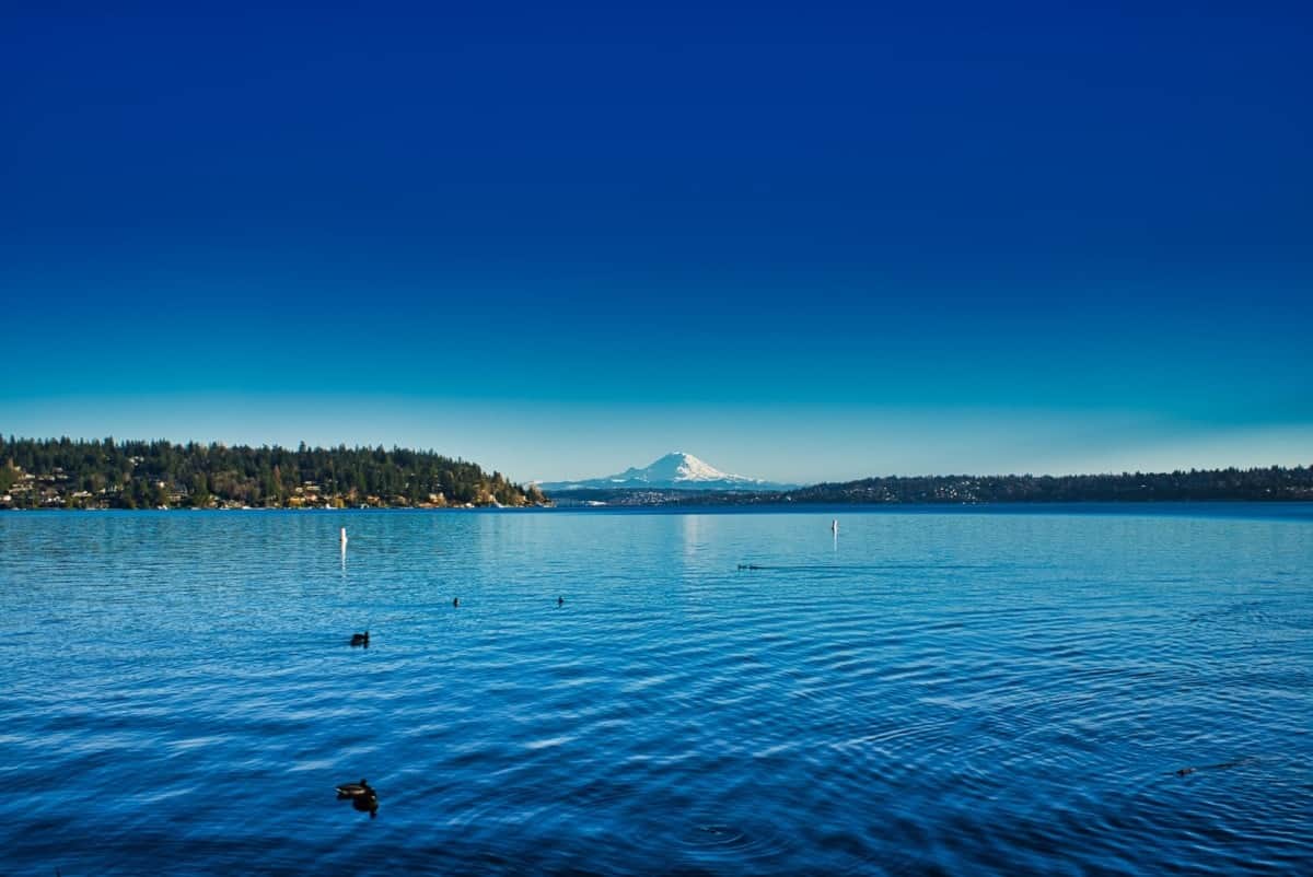 What is Seattle Known For? Get to Know Your New City | Redfin