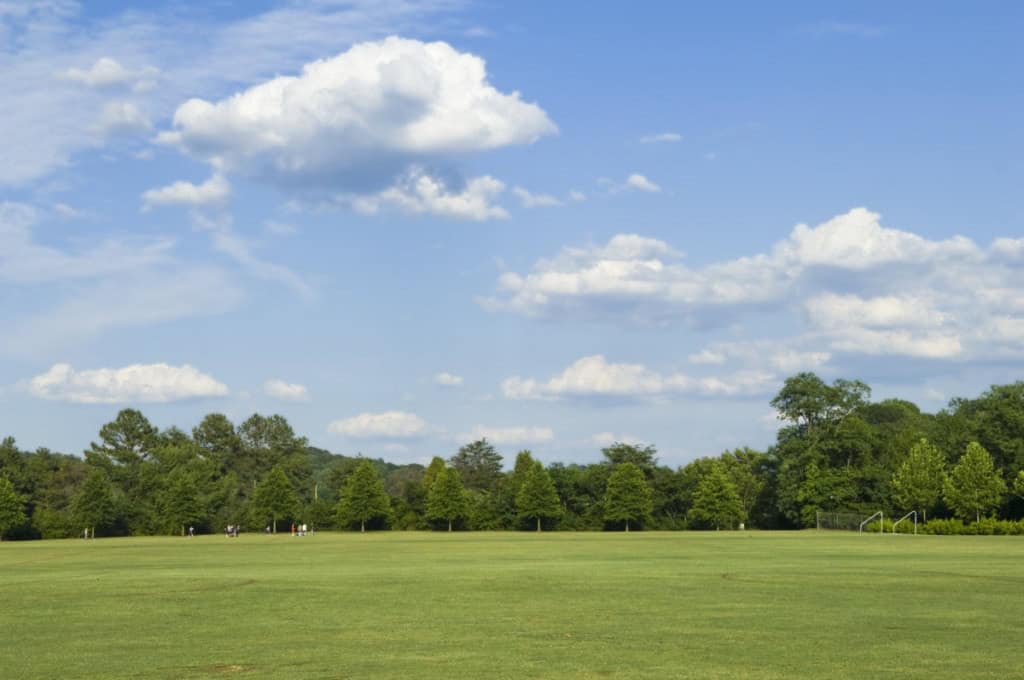 5 Popular Parks in Hayward, CA That Locals Love | Redfin