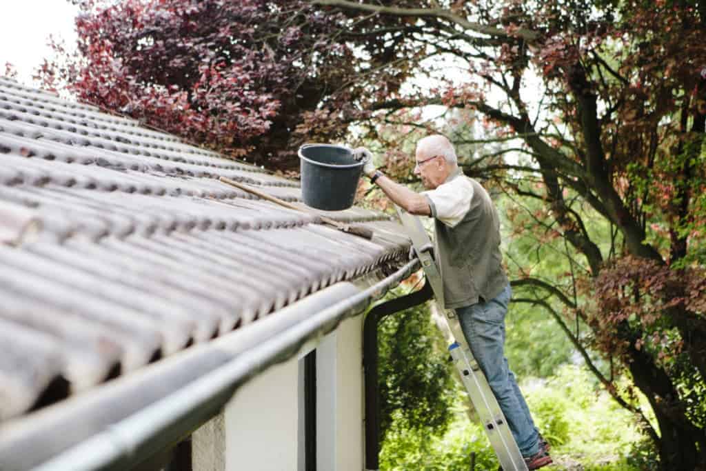 Yard Drainage Issues? How to Identify and Solve Them | Redfin