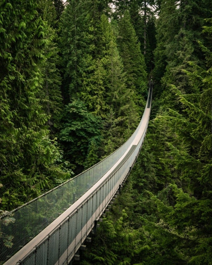 The Ultimate Seattle Bucket List | Redfin
