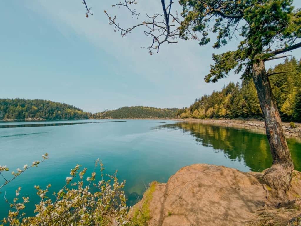 The Ultimate Seattle Bucket List | Redfin