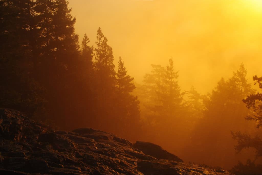 Explore Your New City: 12 Things to Do in Bellingham, WA - Diamond ...
