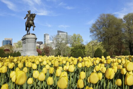 10 Things to Do in Boston in the Spring | Redfin