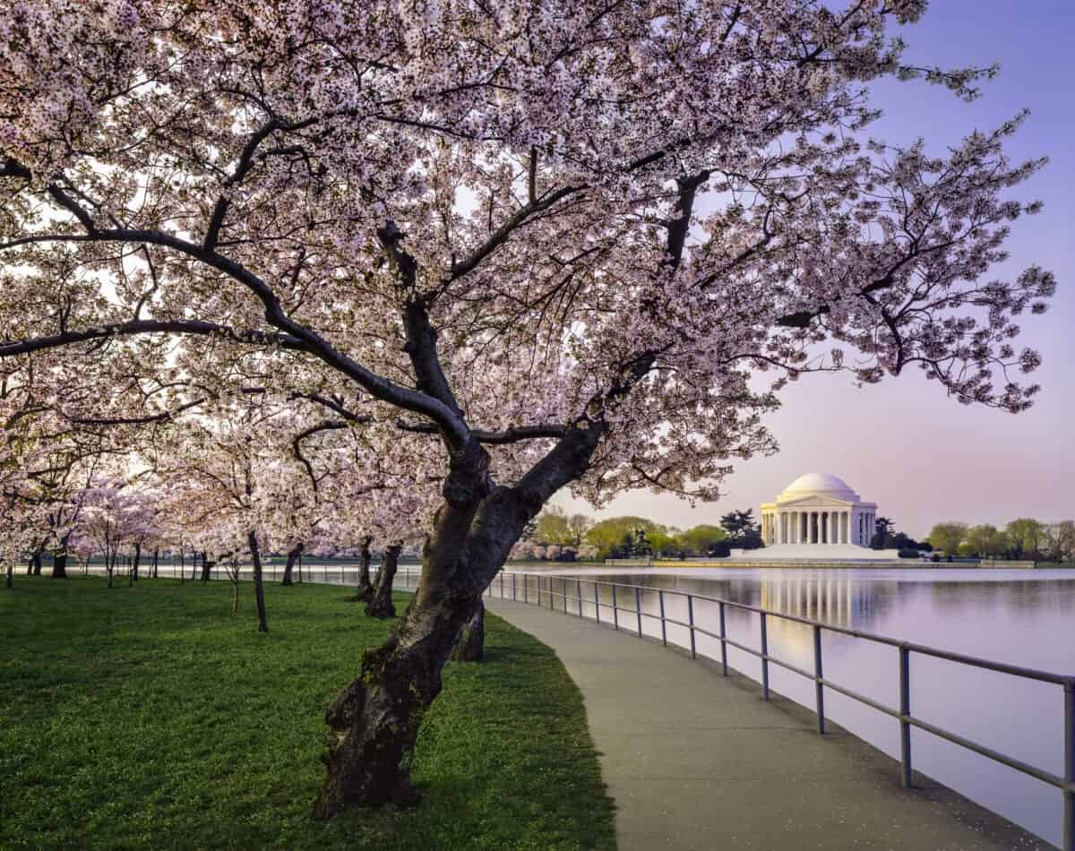 Is Washington, DC a Good Place to Live? Pros and Cons | Redfin