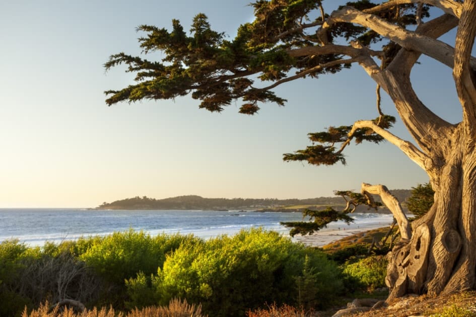 8 Popular Parks in Encinitas, CA That Locals Love | Redfin