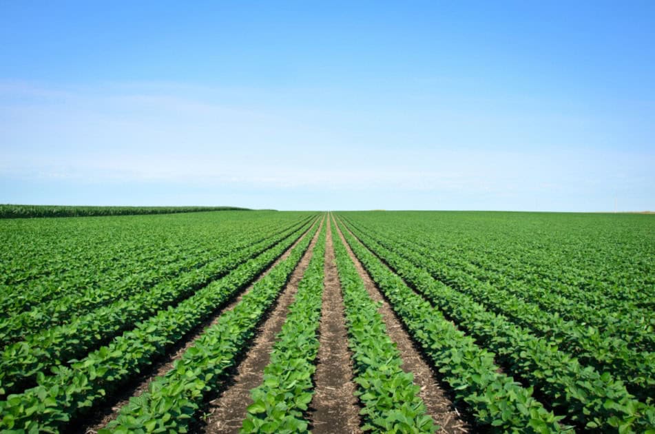 10 Pros and Cons of Living in Iowa - Redfin