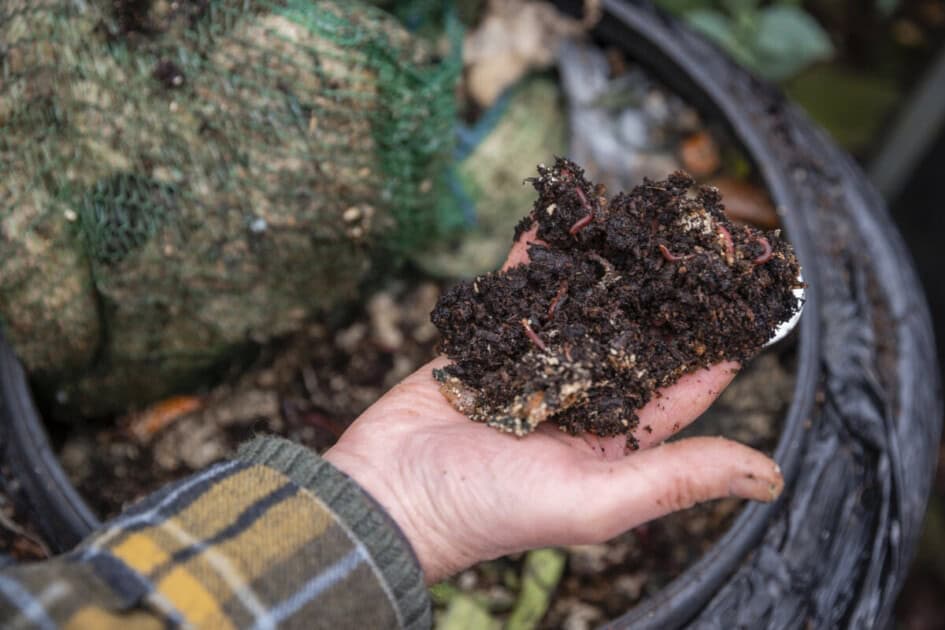 16 Earth Day Tips for a Greener Home | Redfin