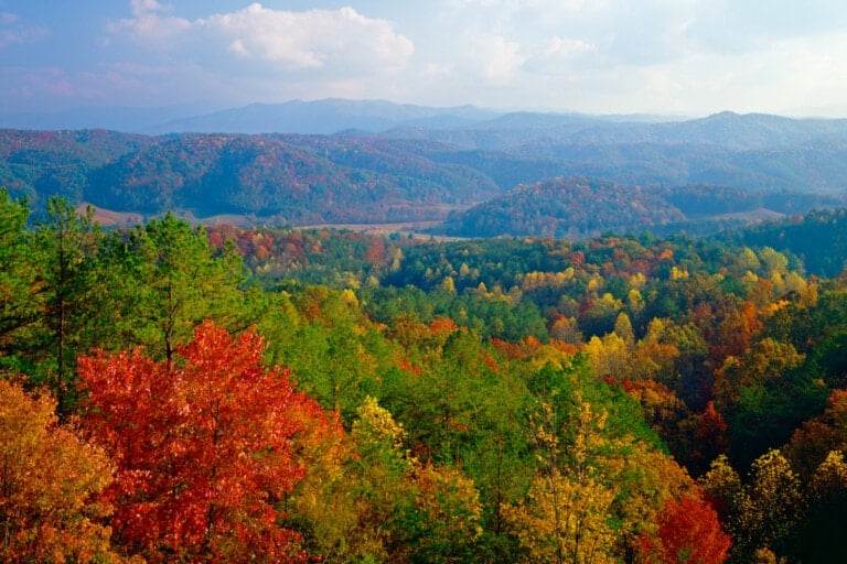What is Tennessee Known For? Facts, Food & Landmarks | Redfin