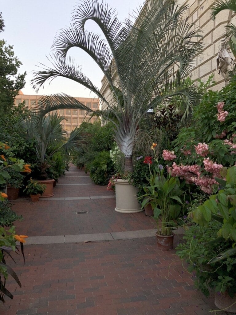 20 Beautiful Places to Visit in Washington, DC | Redfin