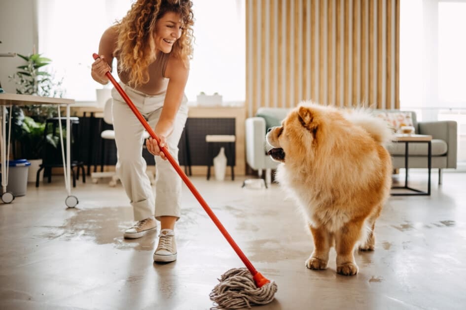 Keeping Your Home Clean: Genius Hacks for Pet Owners | Redfin