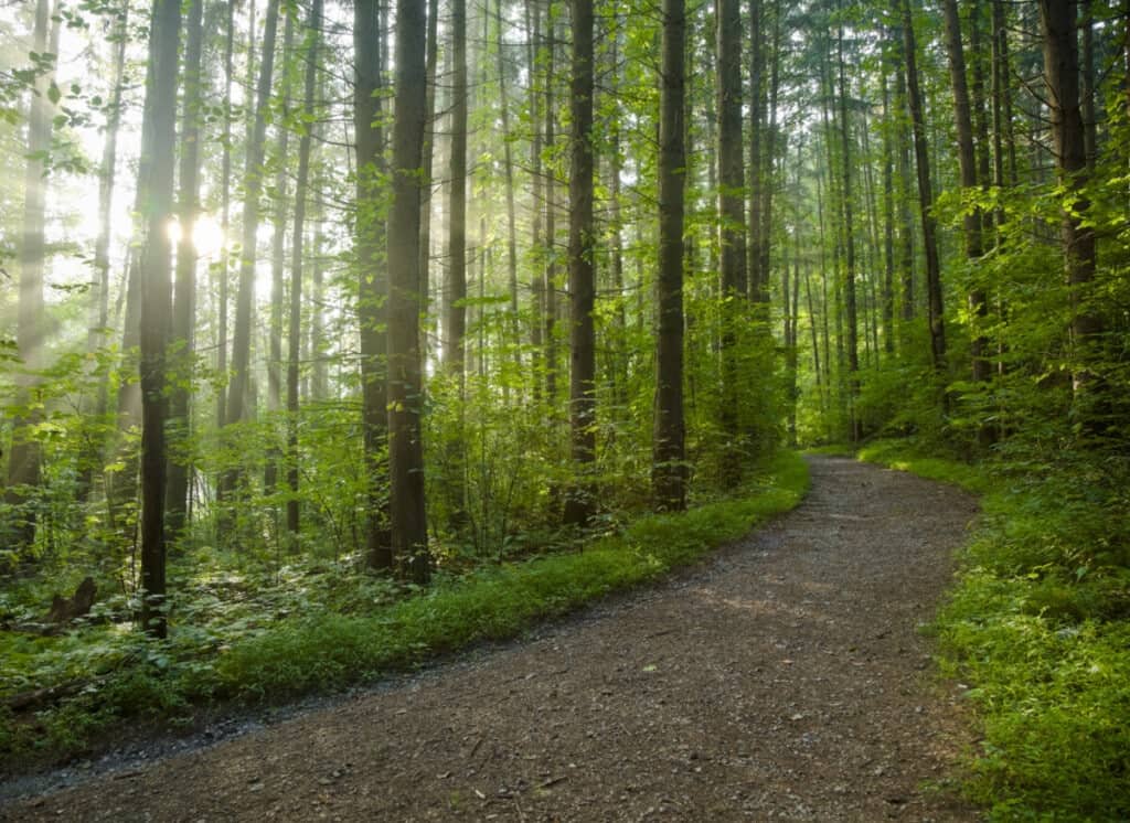 10 Fun Things to do in Albany, NY: A Newcomer’s Guide - Redfin