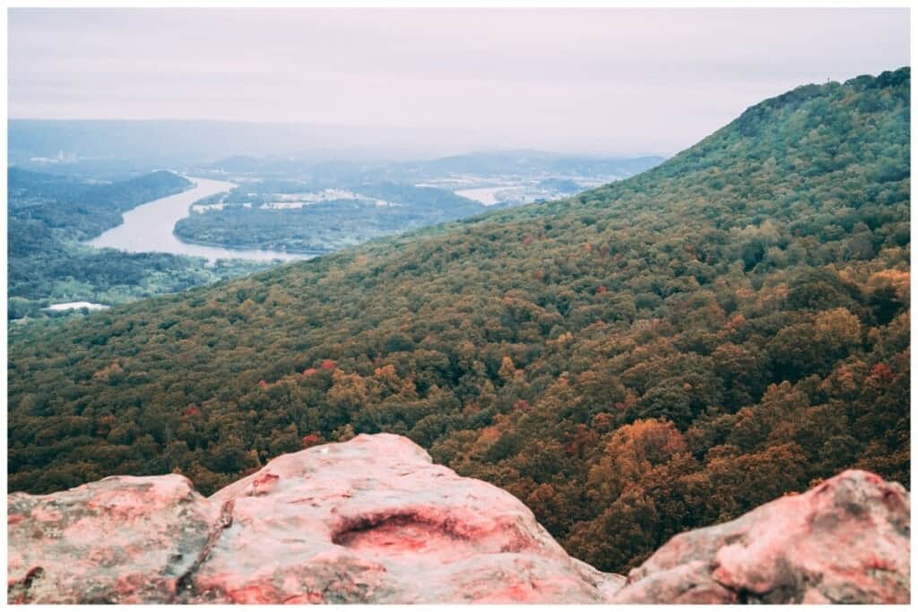 Chattanooga Neighborhood Guide: Where to Live in 2024 | Redfin