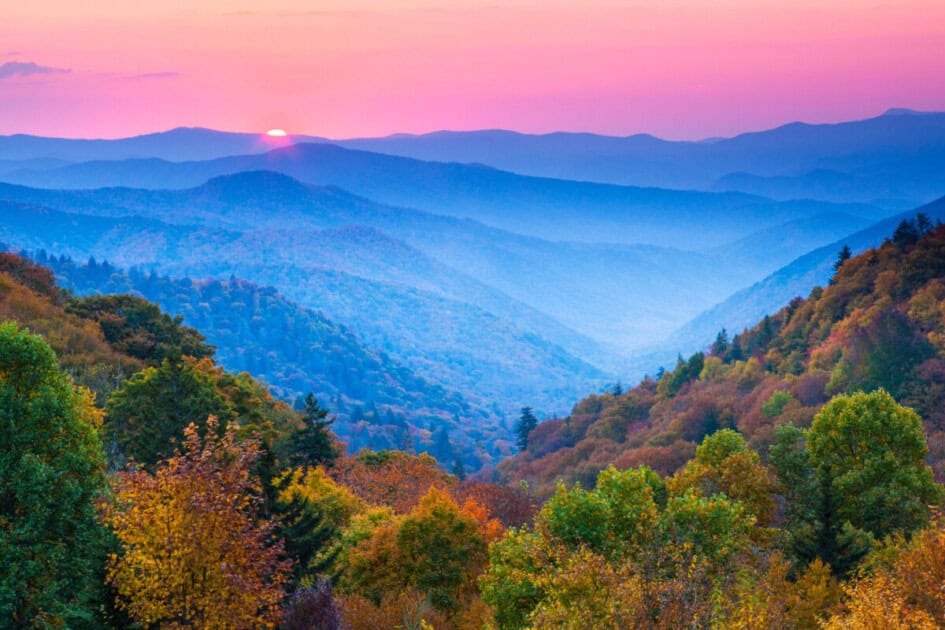 What is South Carolina Known For? Facts, Foods & Landmarks