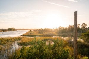 Jacksonville Neighborhood Guide: Where to Live in 2025 | Redfin