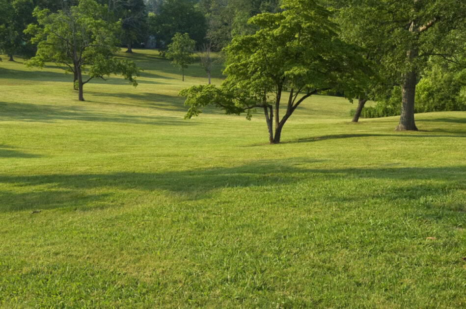 11 Fun Facts About Birmingham, AL: How Well Do You Know Your City ...