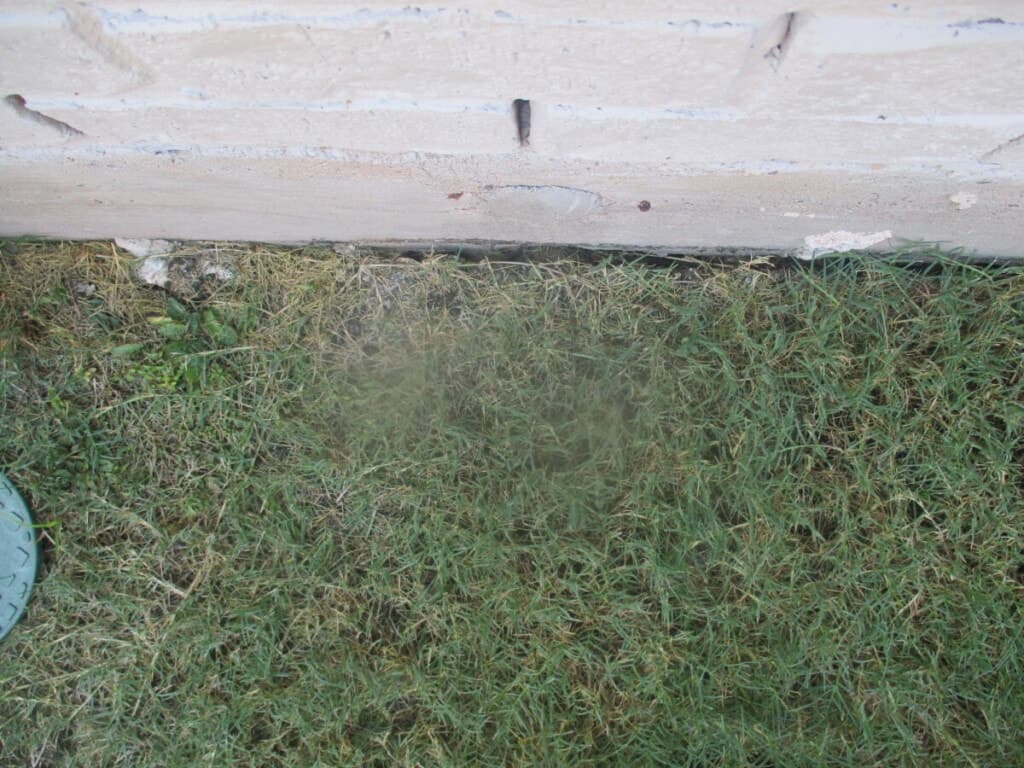 5 Tips on Texas Home Inspections | Redfin