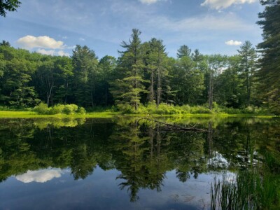 7 Charming Small Towns in Massachusetts | Redfin