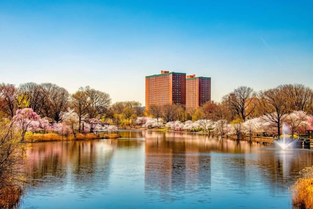 Newark Neighborhood Guide: Where to Live in 2024 | Redfin