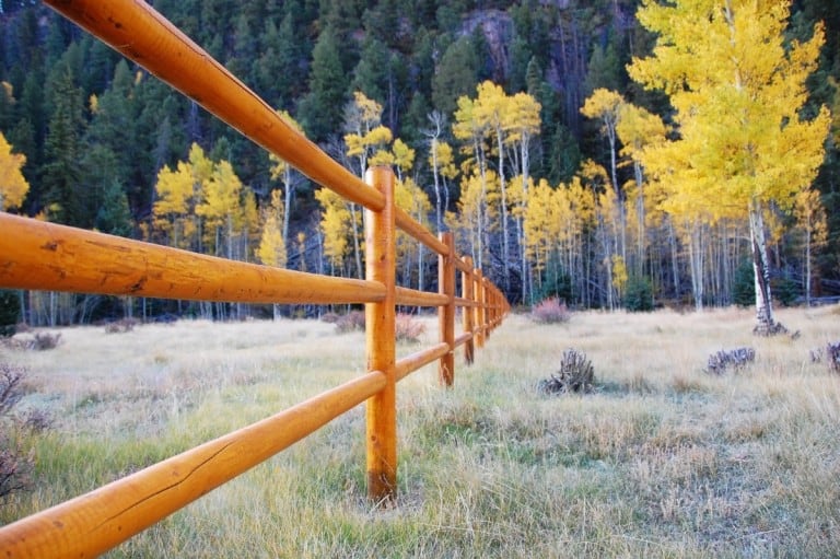 How to Find Your Property Lines: Fast, Easy, and Precise - Redfin