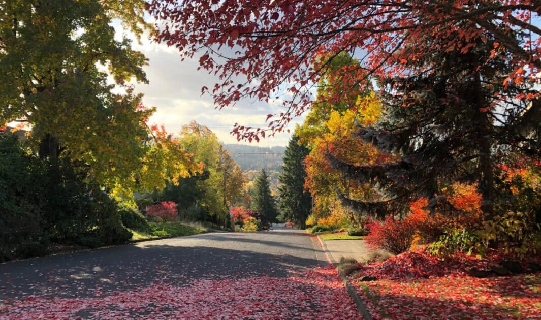 The 10 Cloudiest Cities in the U.S. | Redfin