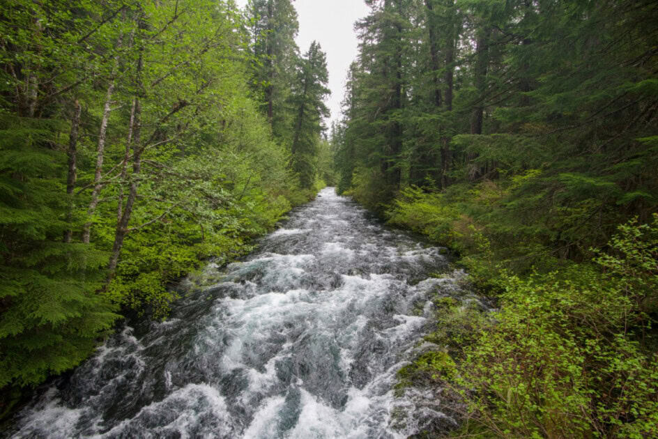 Natural Disasters in Oregon: Risks and How to Prepare | Redfin