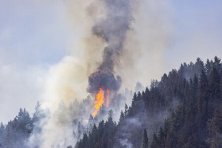 Natural Disasters in Washington: Risks and Preparation | Redfin
