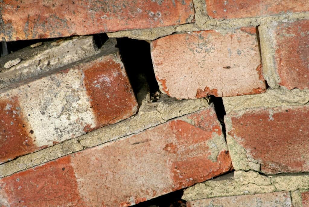 How Do Rats Get into Your House? 5 Ways to Stop Them | Redfin