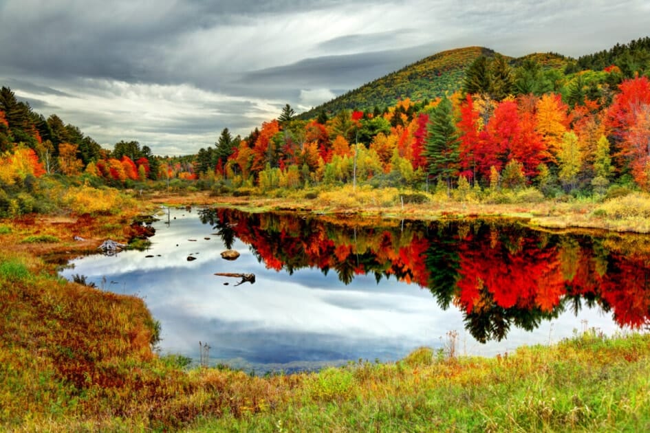 What is New Hampshire Known For? Facts, Foods & Landmarks