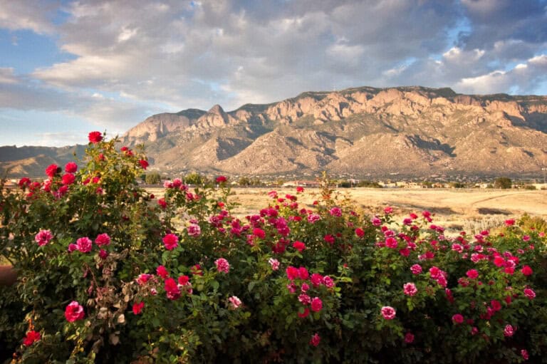What is New Mexico Known For? Facts, Foods & Landmarks