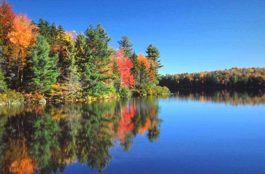 What is Massachusetts Known For? Facts, Foods & Landmarks - Redfin