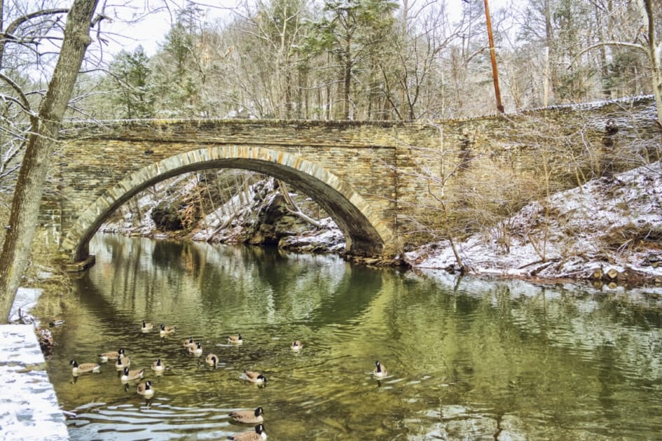 18 Winter Things to Do in Philly | Redfin