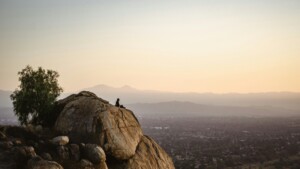 Riverside Neighborhood Guide: Where to Live in 2024 | Redfin