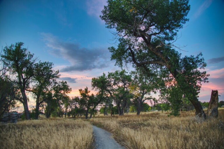 Aurora Neighborhood Guide: Where to Live in 2024 | Redfin