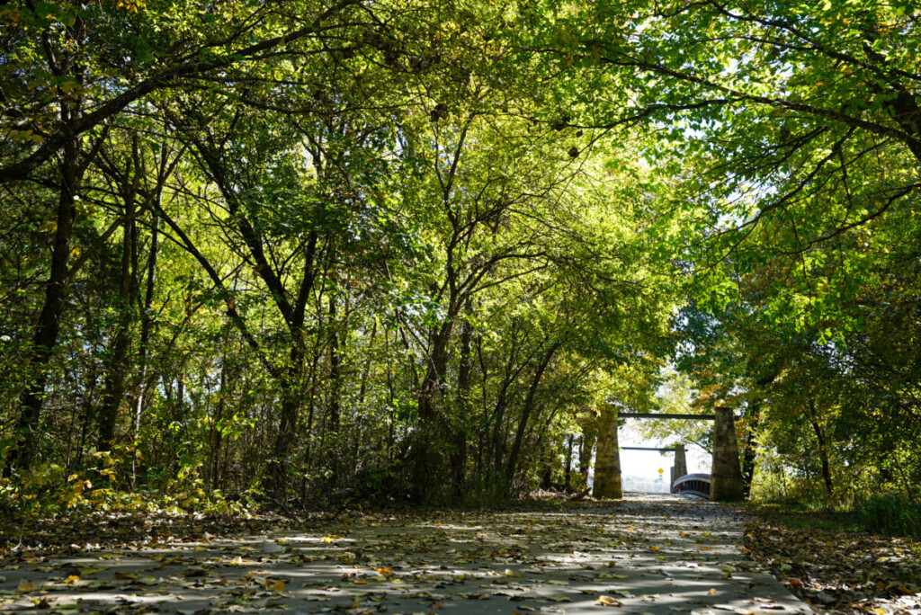 Top 10 Things to Do in Plano, TX: Parks, Museums, Entertainment & More