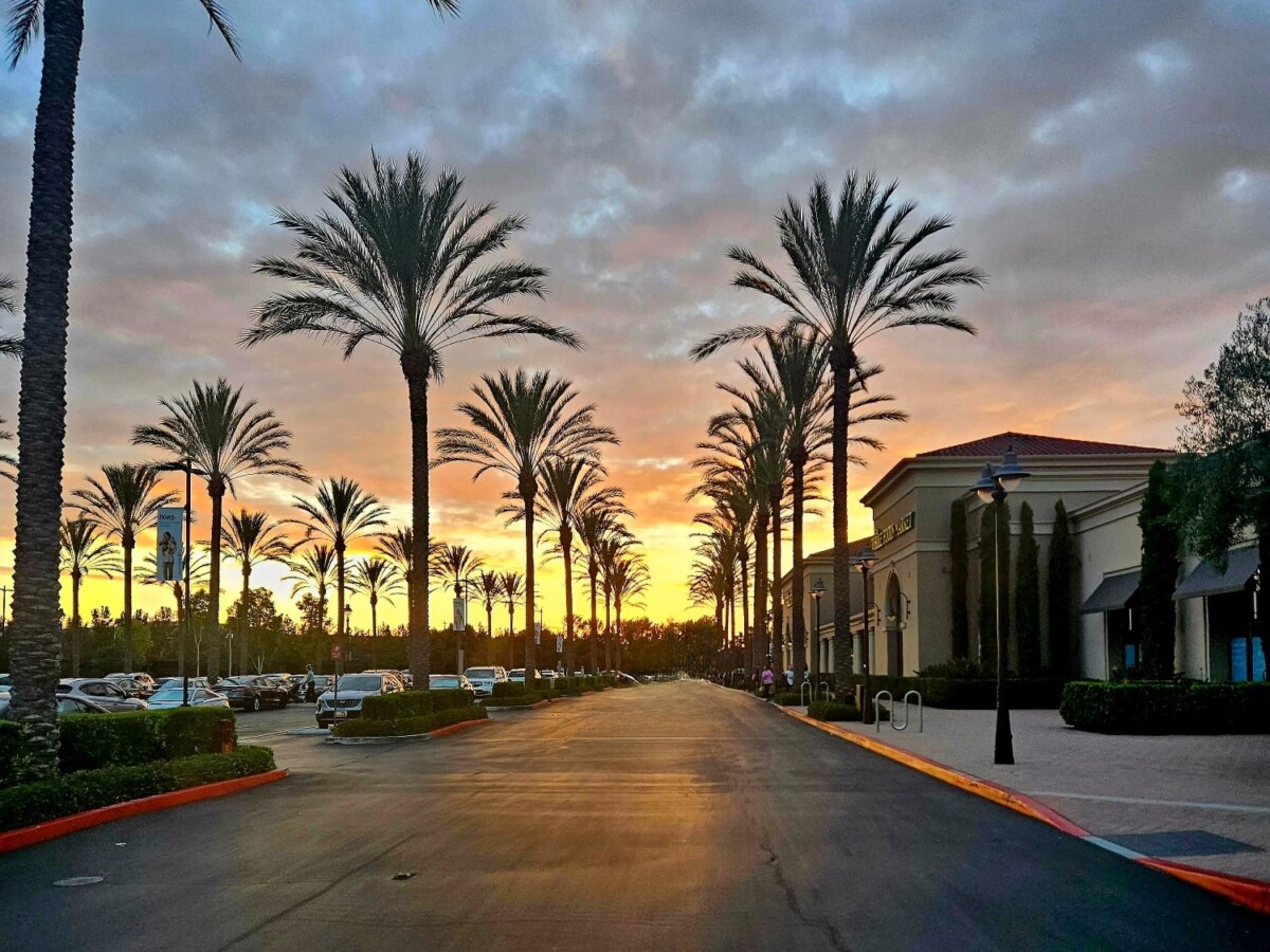 Top 21 Things to Do in Irvine, CA: Nature Trails, Museums, Parks & More