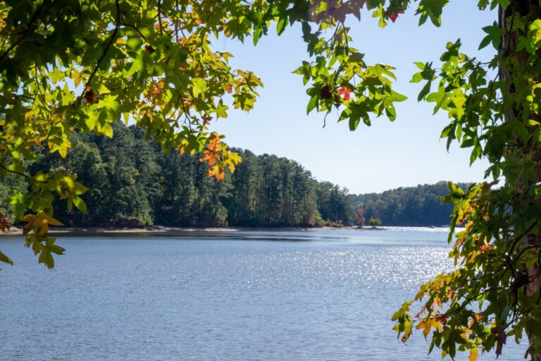 9 Best Lakes in Georgia to Live on in 2024 | Redfin