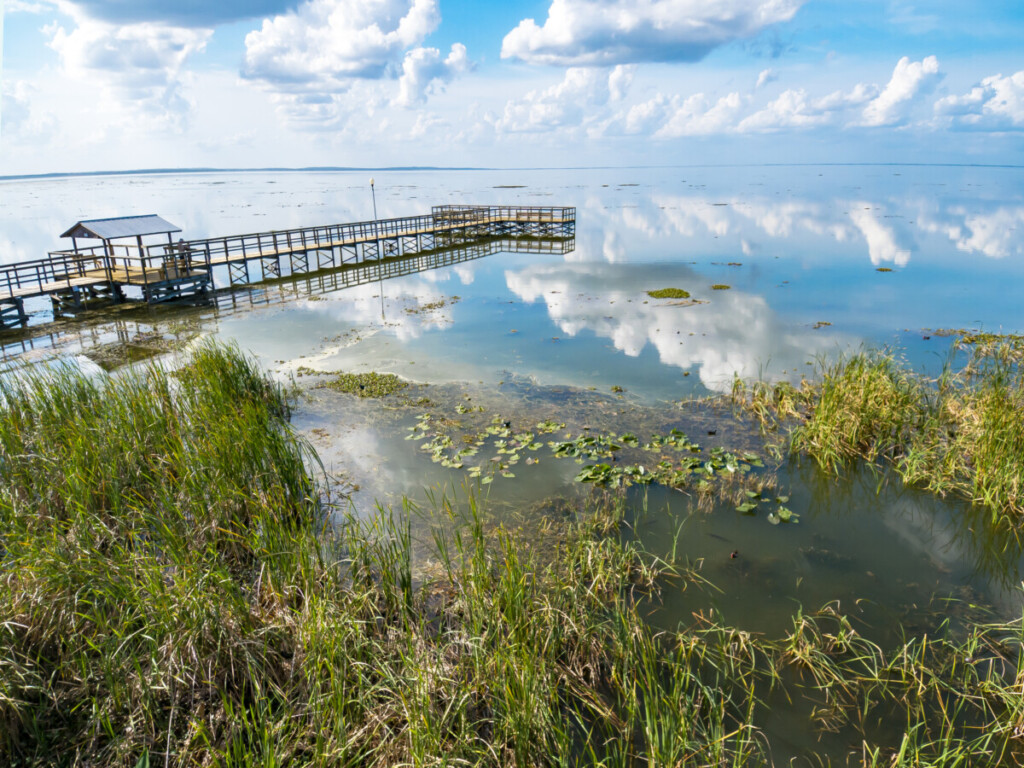 10 Best Lakes in Florida to Live on in 2024 | Redfin