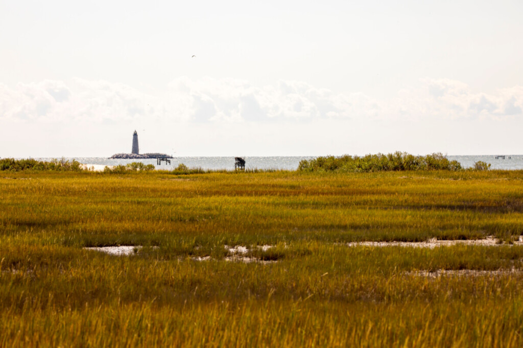 Top 10 Cities Near Virginia Beach, VA to Buy + Rent This Year | Redfin