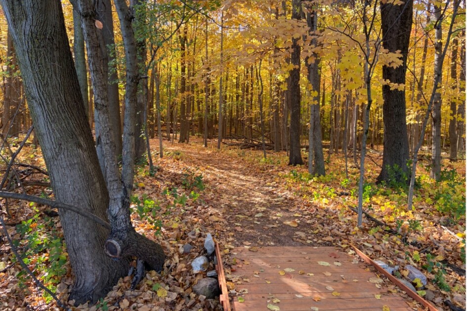 Fall Things to Do in Milwaukee WI | Redfin
