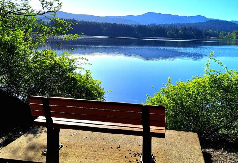 10 Unique Things to Do in Bellingham, WA: Adventures You Didn’t Know ...