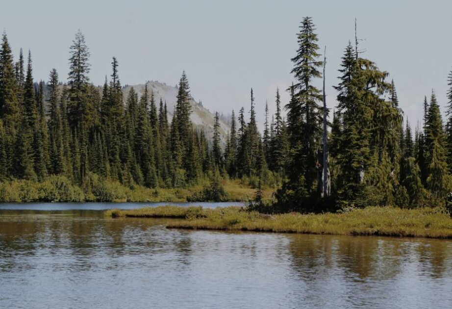 What is Kent, WA Known For? Get to Know This City | Redfin